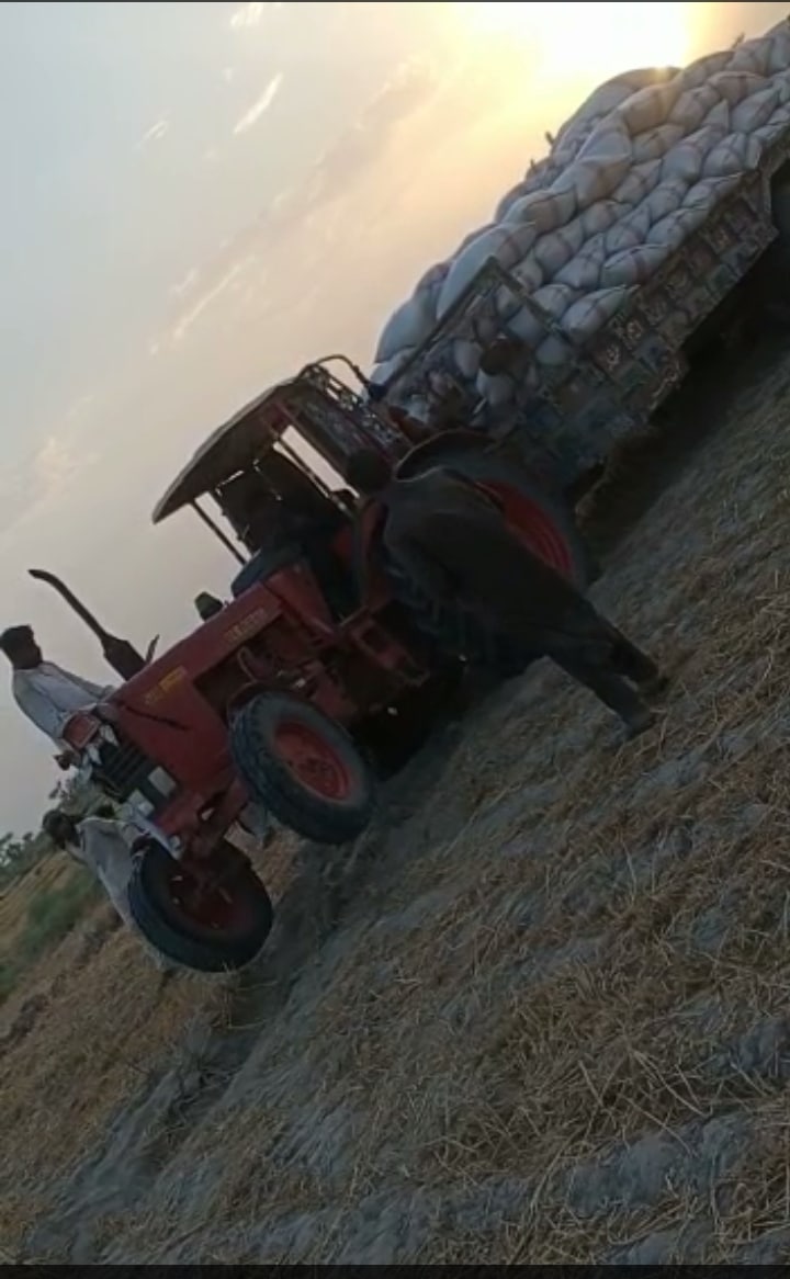 Belarus 510 model 2016 tractor - Buy Used Tractors in Pakistan
